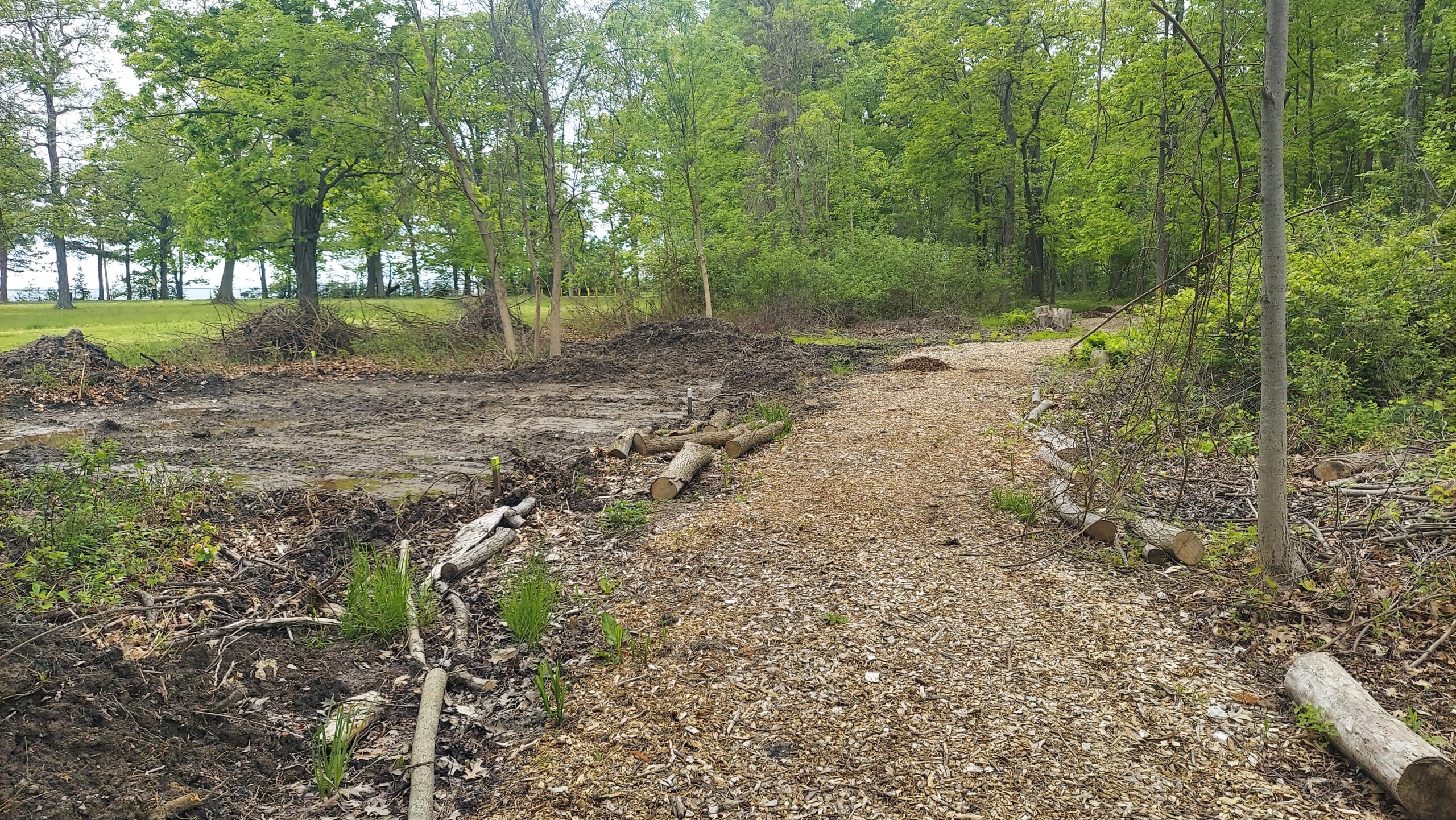 Path to nature: Trail at Point seeks help to build areas | News, Sports ...